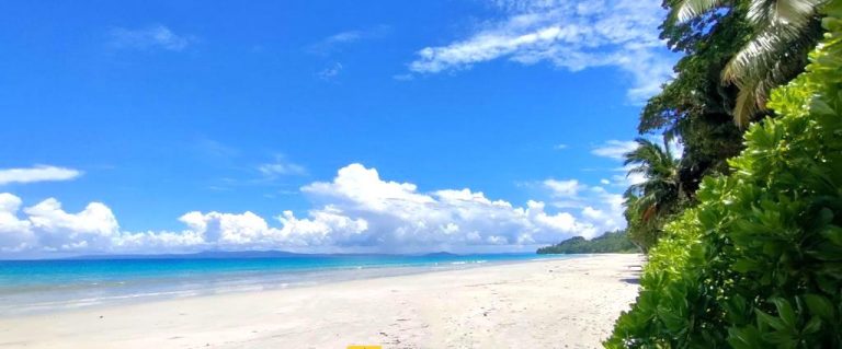 21 Best Beaches in Andaman Islands - Most Famous Beaches