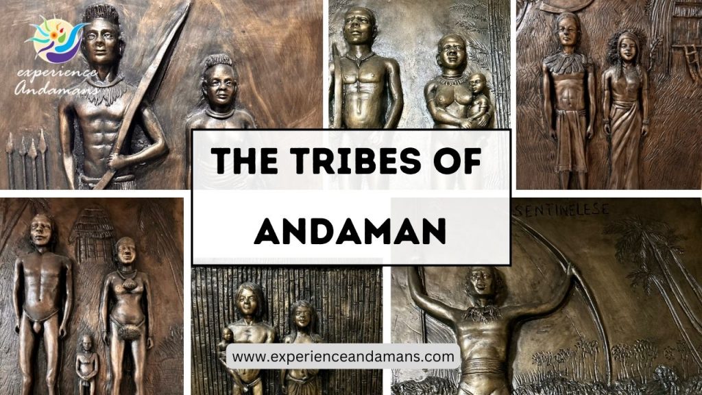 Tribes of Andaman Islands (Jawara, Onge, Great Andamanese, Sentinelese ...